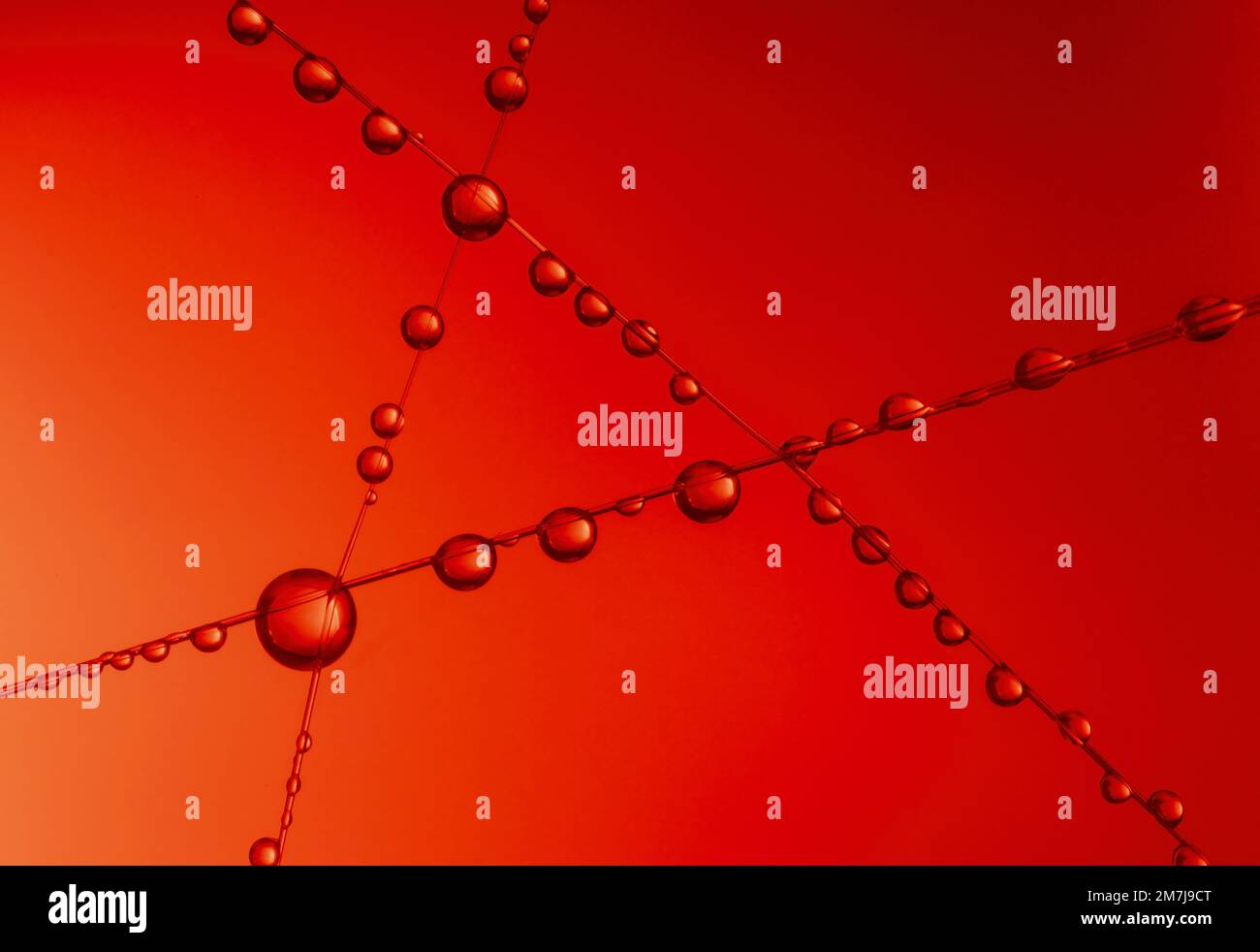 Water droplets on a fine web refracting coloured light Stock Photo - Alamy