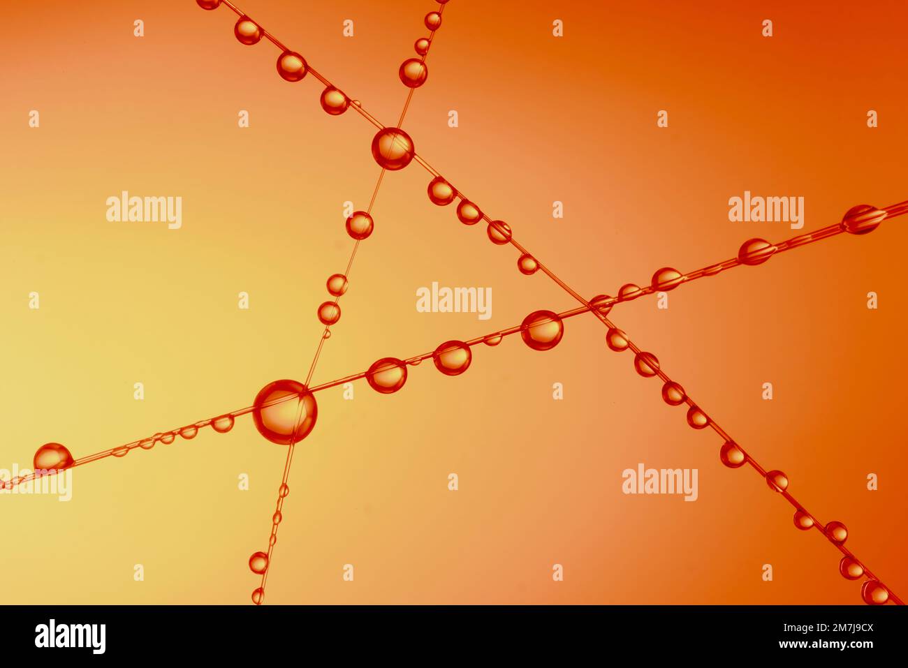 Water droplets on a fine web refracting coloured light Stock Photo - Alamy