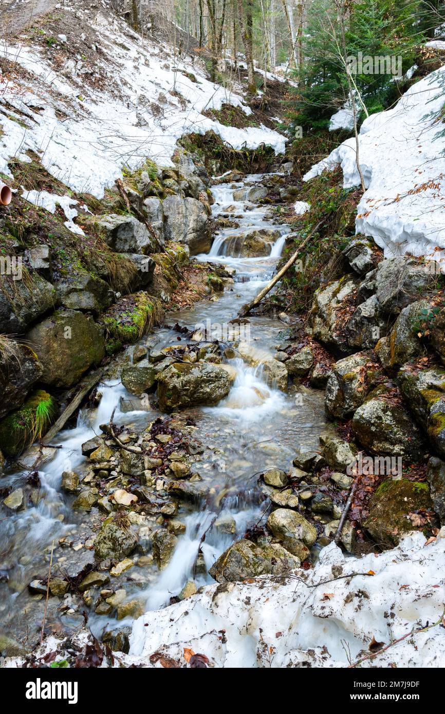 A stream running through a snowy forest with rocks and trees Stock ...