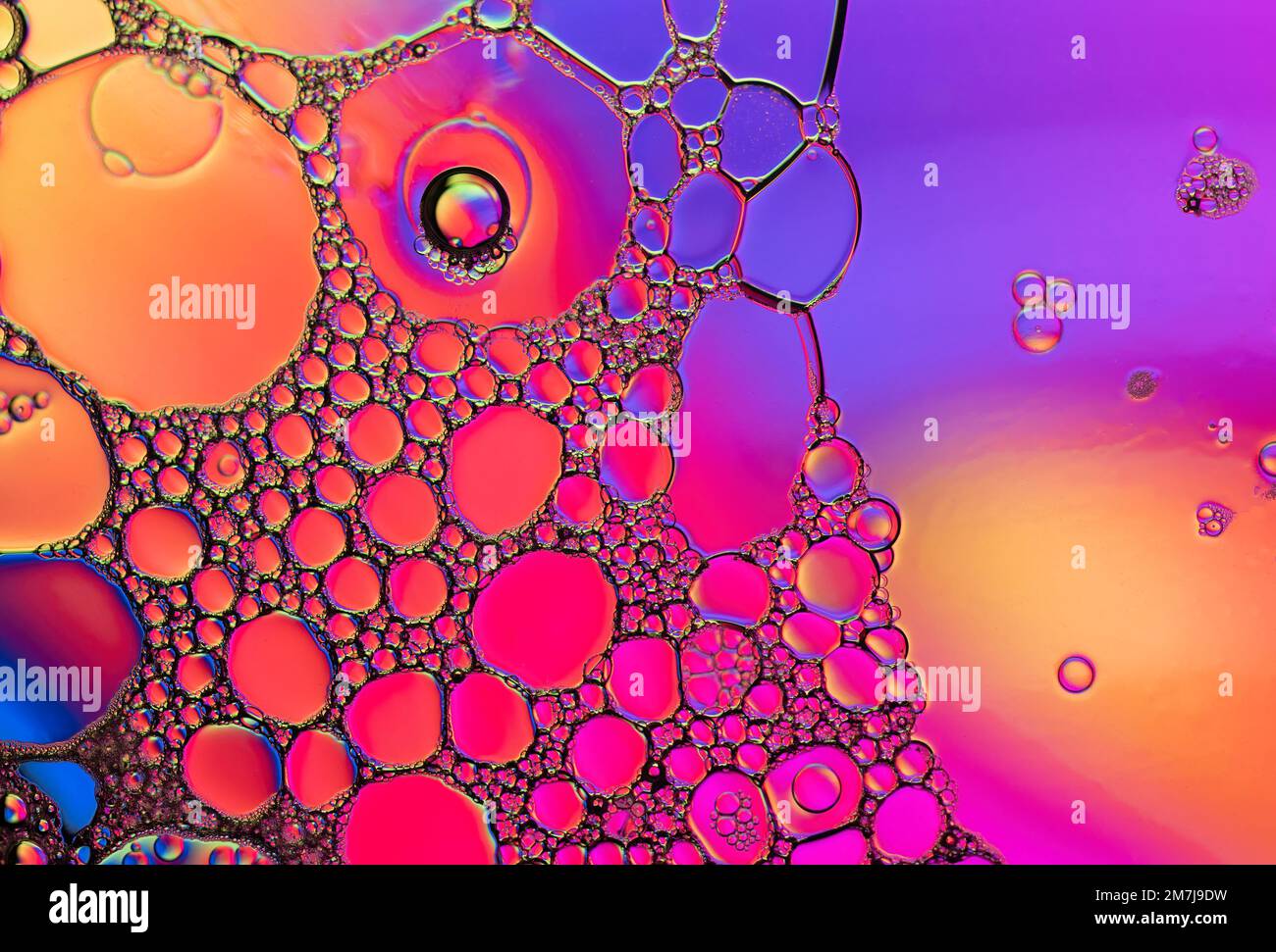 Colourful Light Diffraction Patterns Formed By Oil Droplets Floating On