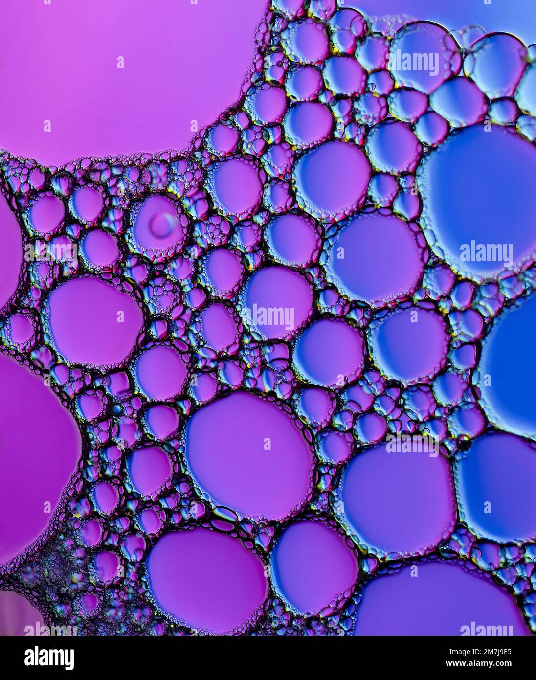 Colourful Light Diffraction Patterns Formed By Oil Droplets Floating On