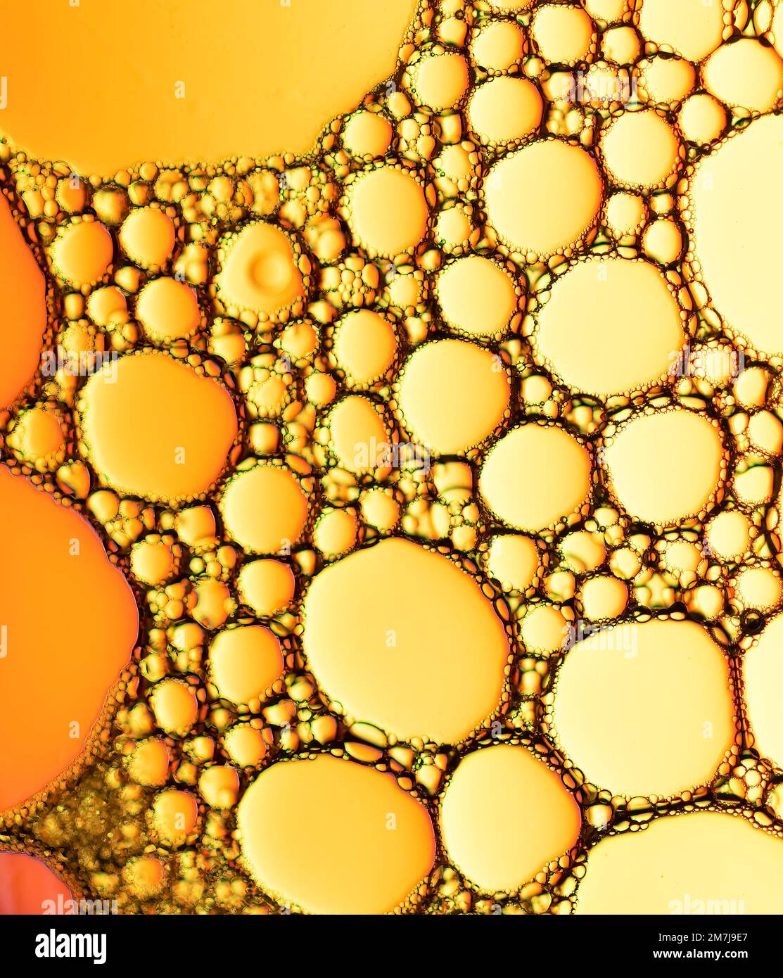 Colourful Light Diffraction Patterns Formed By Oil Droplets Floating On