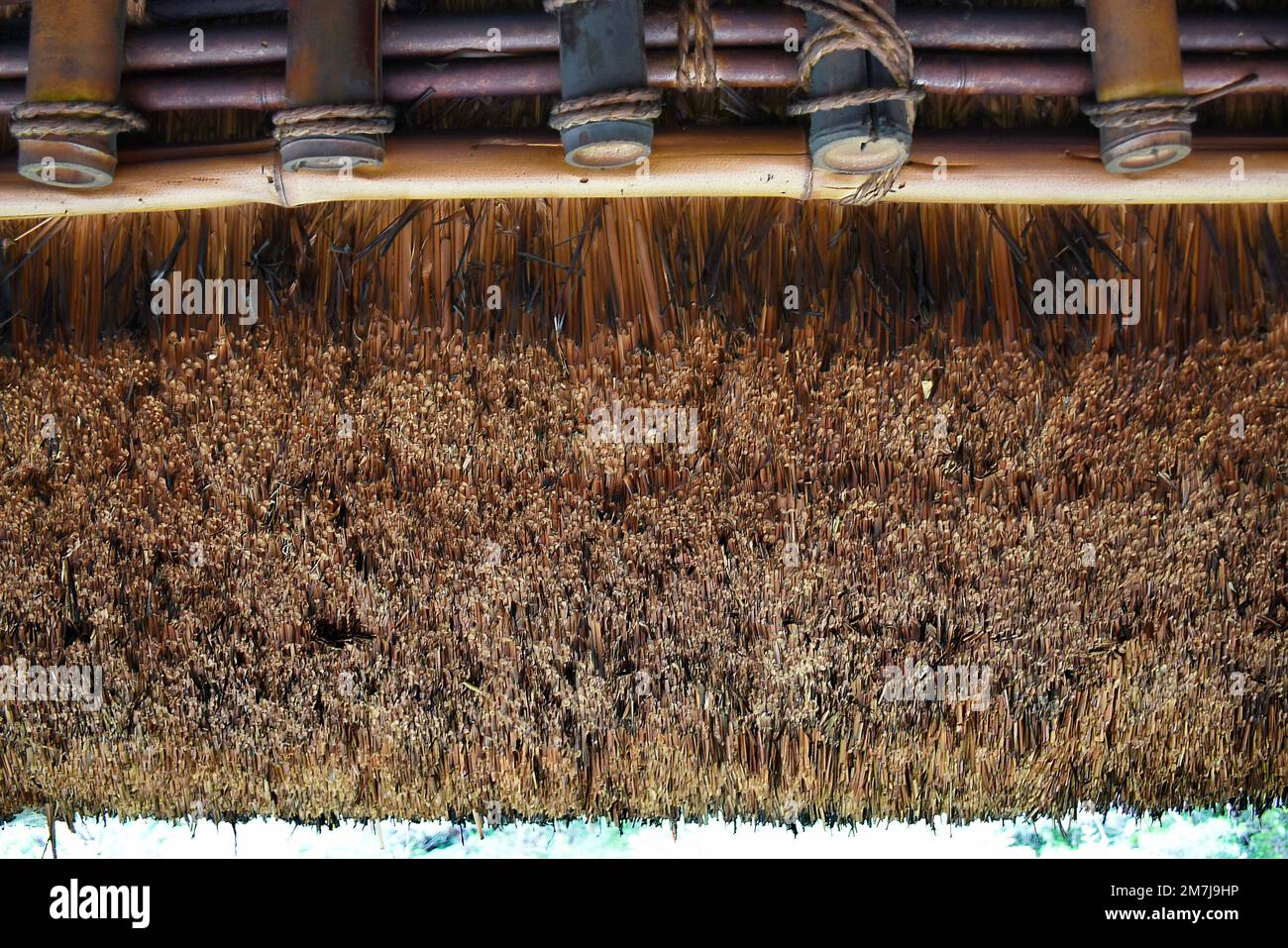 A building with a traditional Japanese warabuki or kayabuki natural ...