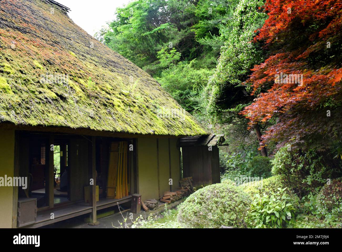 Japanese thatched houses hi-res stock photography and images - Alamy