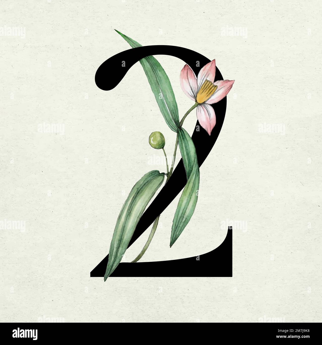 Vector number 2 font botanical vintage typography Stock Vector Image ...