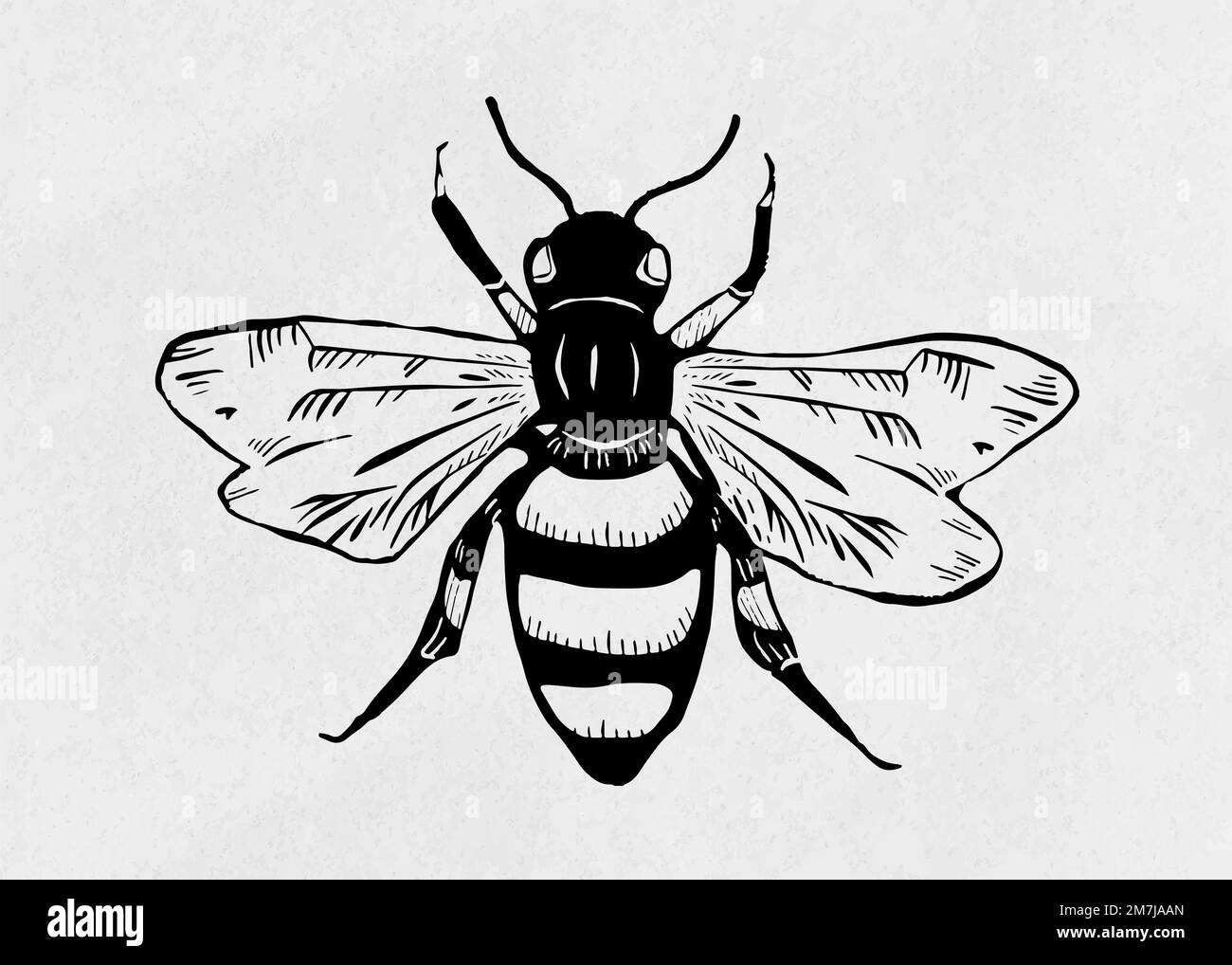 Vintage bee vector insect linocut stencil pattern clipart Stock Vector ...