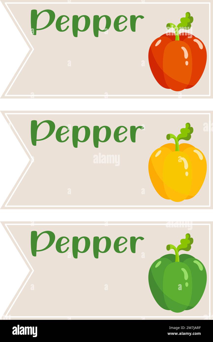 Set of three pepper blank label sticker Stock Photo - Alamy