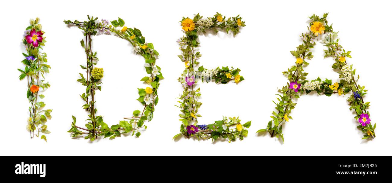 Blooming Flower Letters Building English Word Idea Stock Photo - Alamy