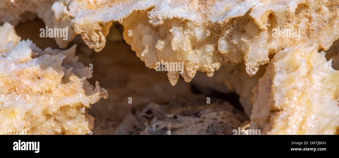 Natural salt stalactites crystals at the Dead Sea, lowest point on ...