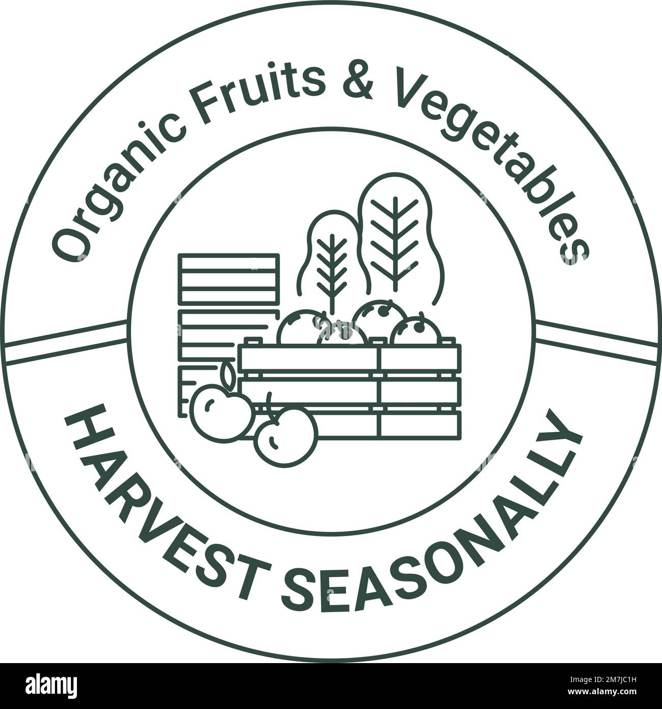 Organic fruits and vegetables harvest seasonally Stock Vector Image ...