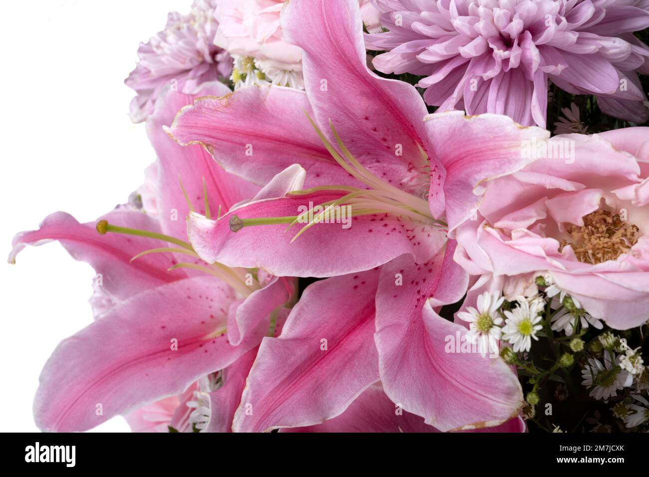 Bucket pink flower isolated over white background Stock Photo - Alamy