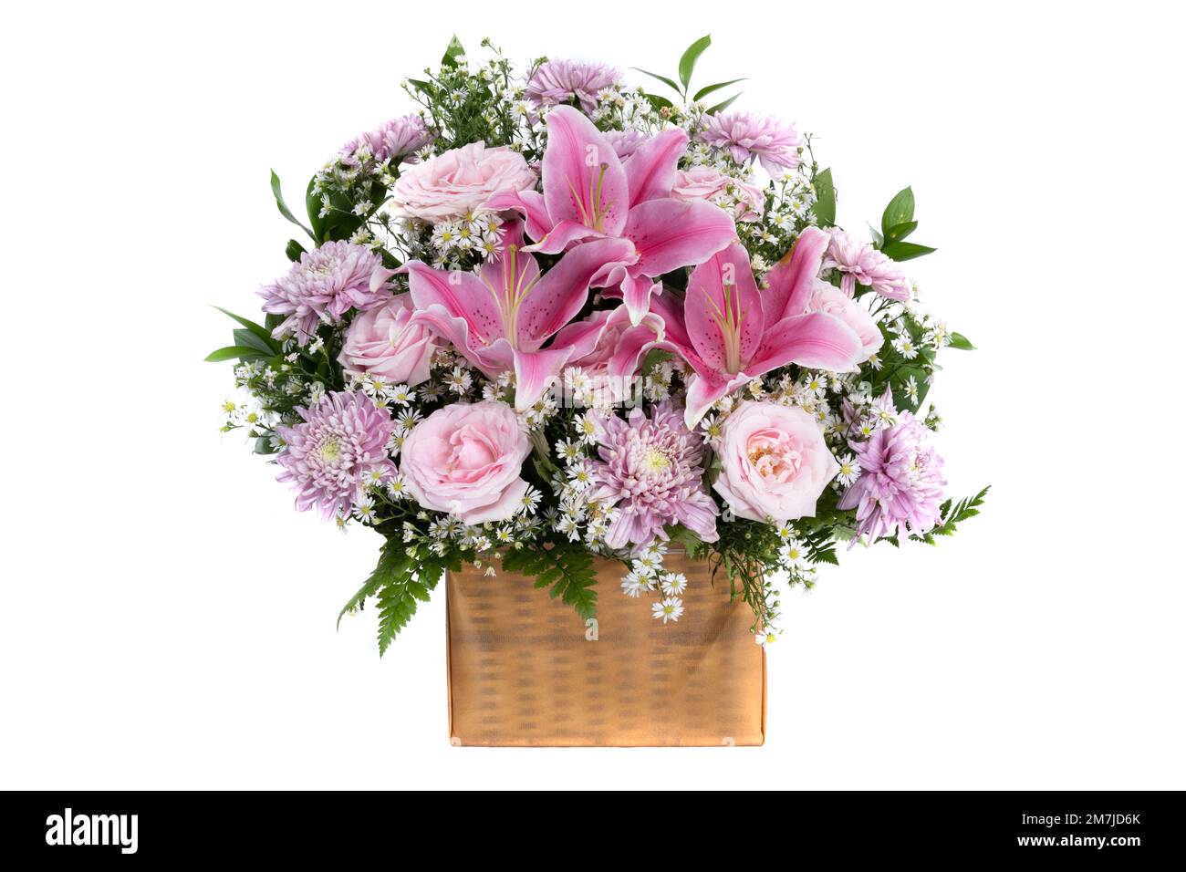 Bucket pink flower isolated over white background Stock Photo - Alamy