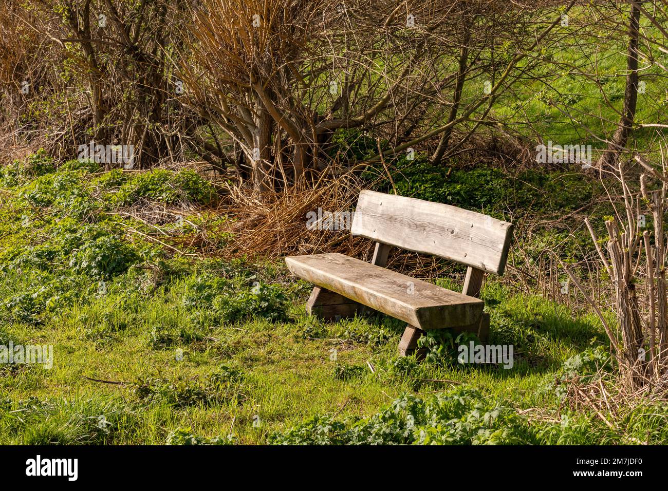 A wooden park bench in the meadow, Germany Stock Photo - Alamy