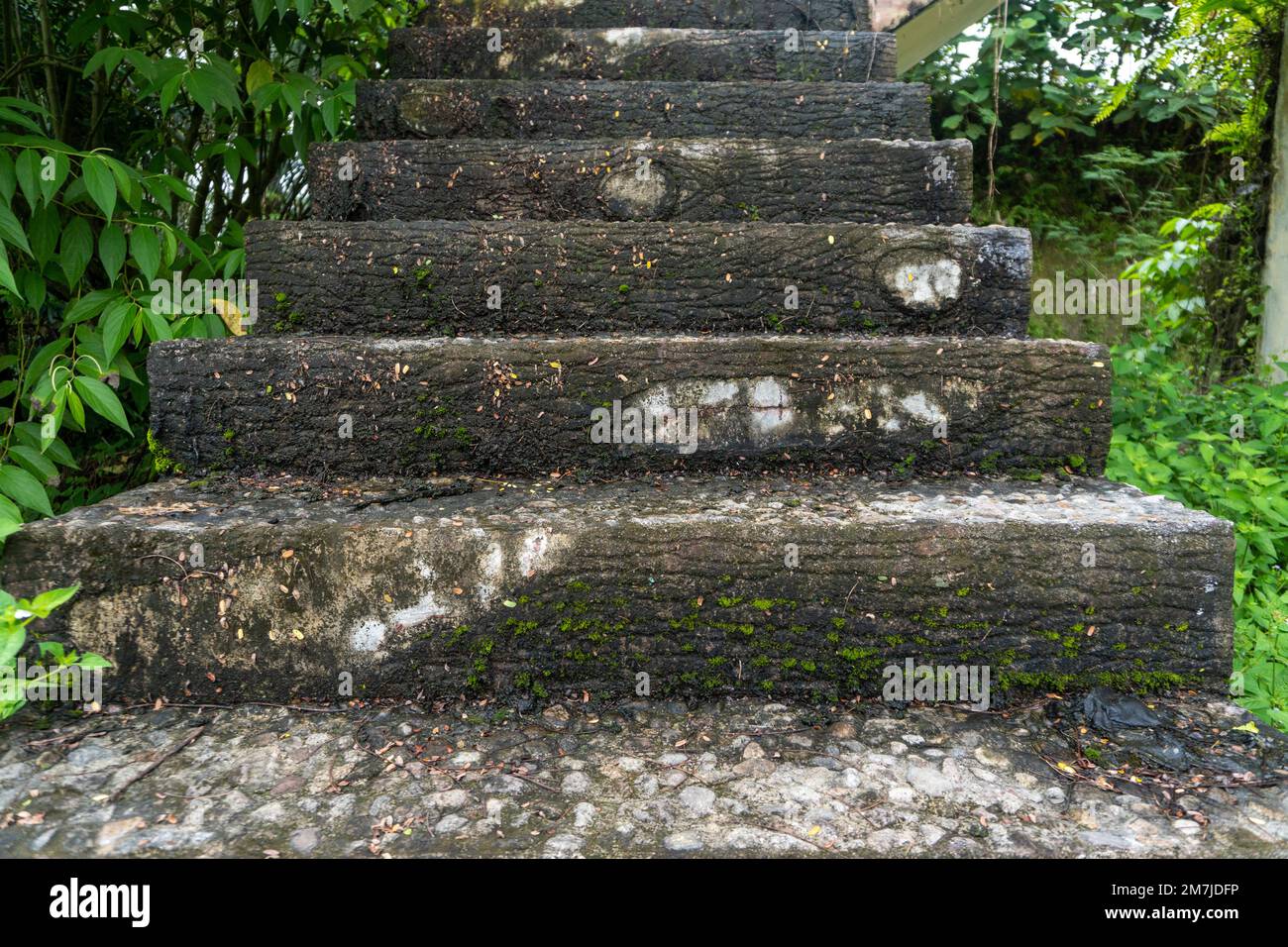 Abandoned stairs with mossy textures in damp area landscape Stock Photo ...