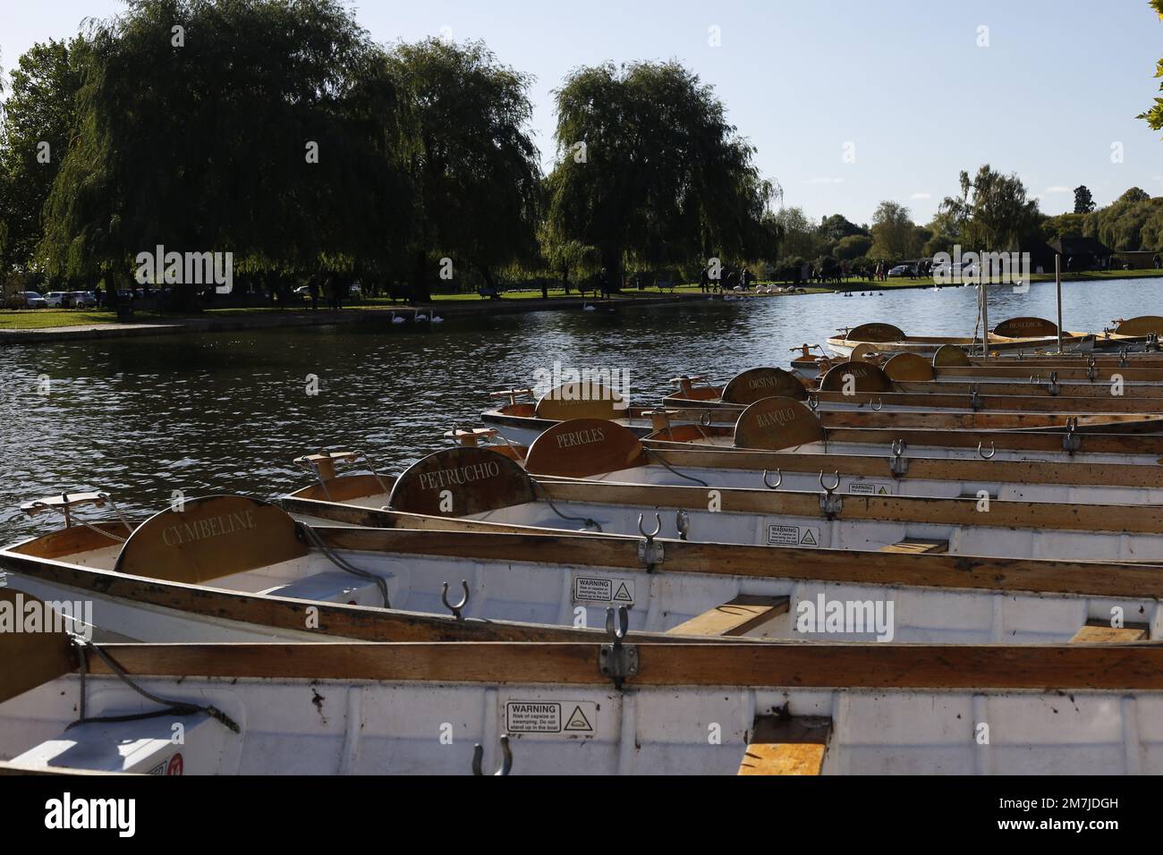 Row boats on the river Stock Photo - Alamy