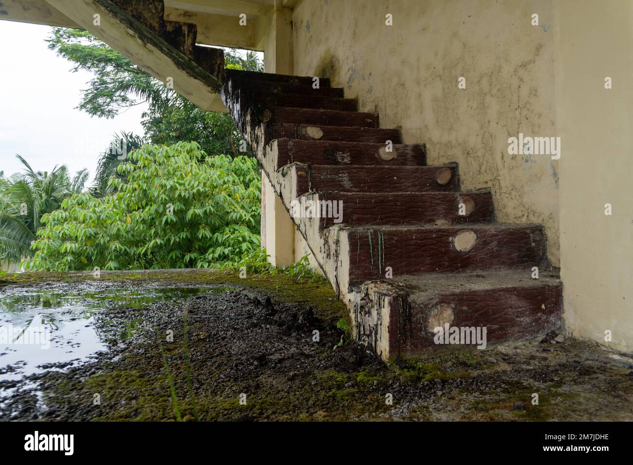 Abandoned stairs with mossy textures in damp area landscape Stock Photo - Alamy