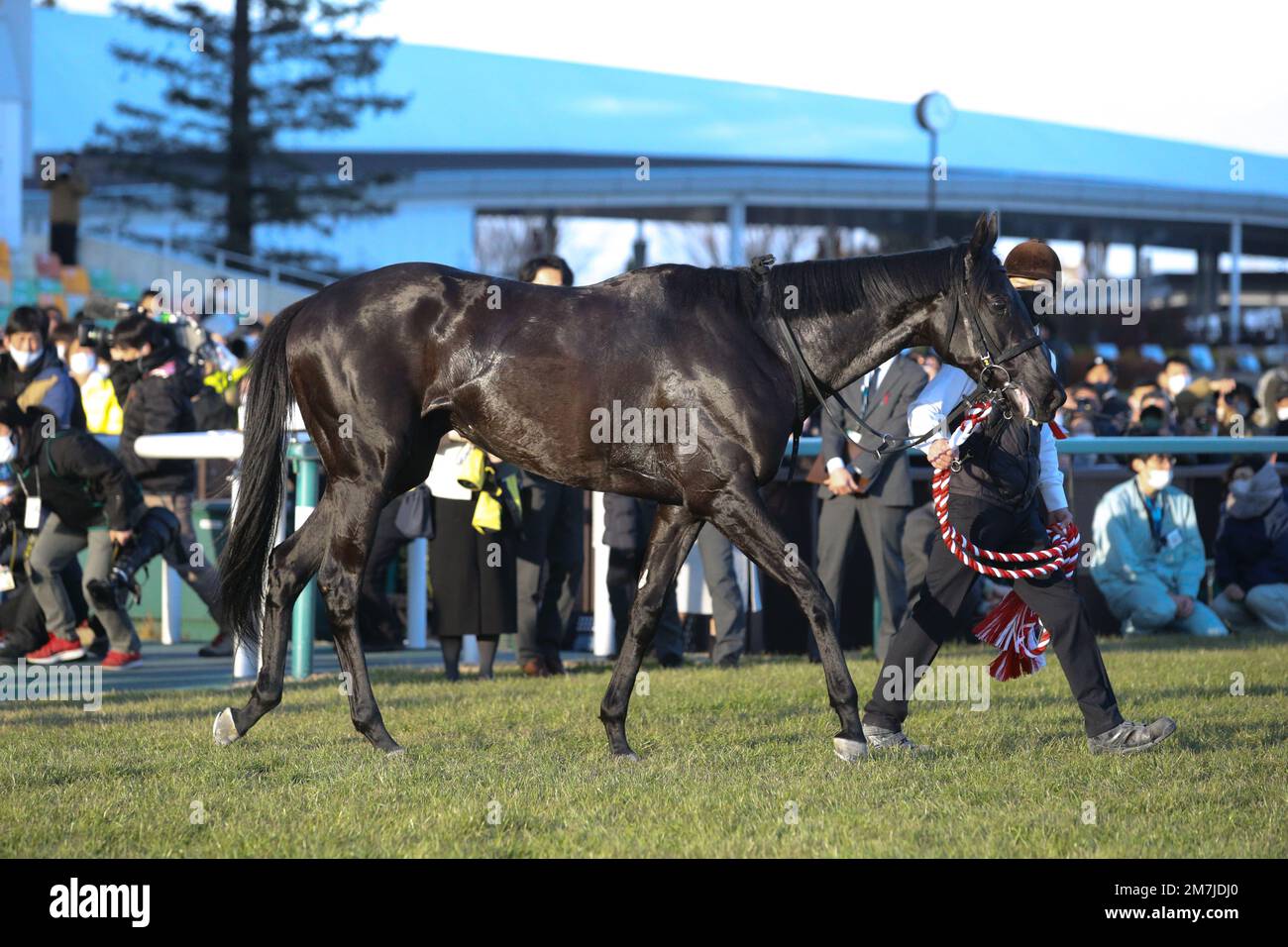 Aichi, Japan. 8th Jan, 2022. Light Quantum won the Nikkan Sports Sho ...