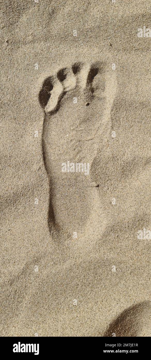 A vertical top view of a footprint on a sandy ground Stock Photo - Alamy