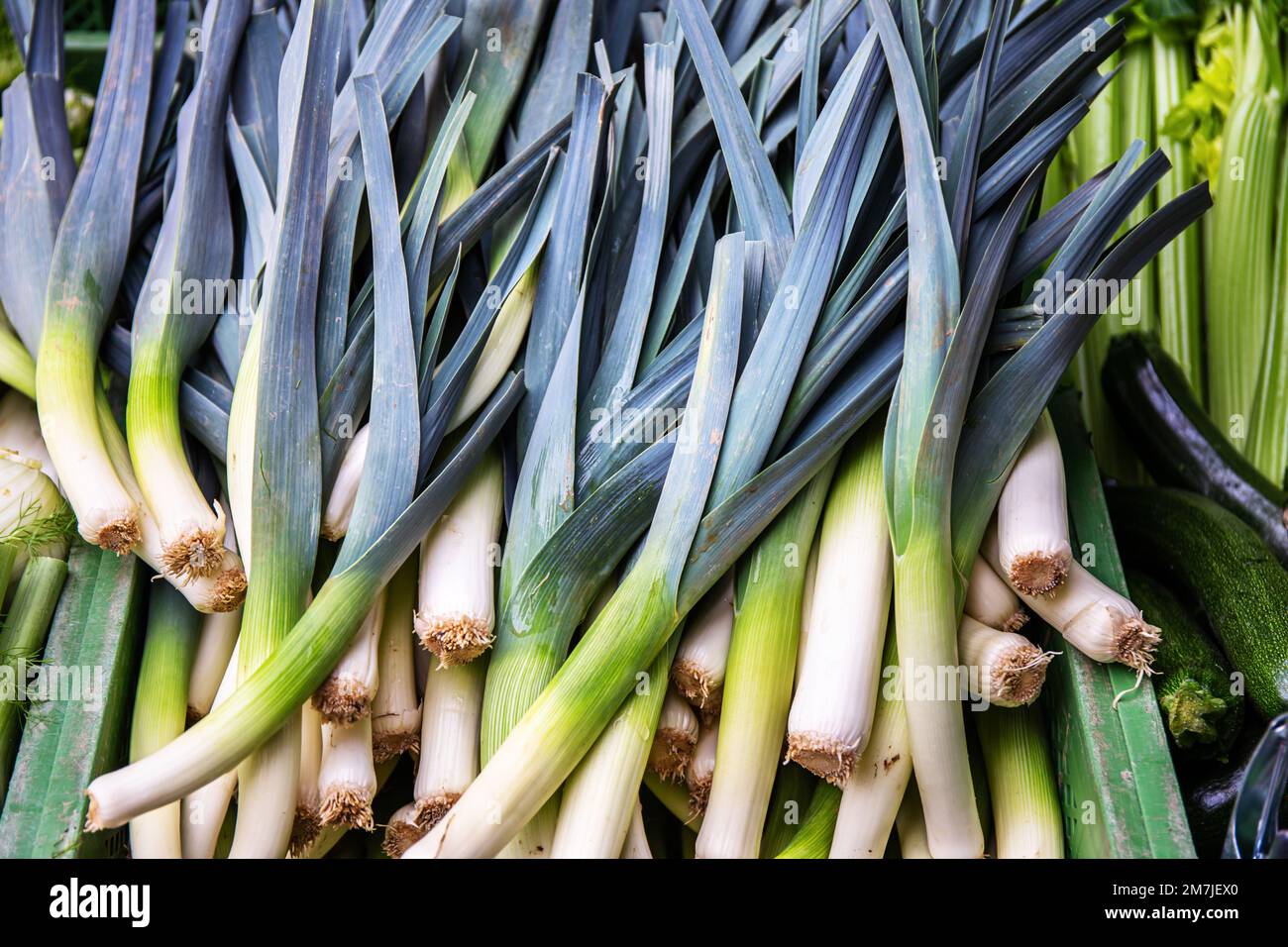 Organic fresh green leeks in a farm market stall Stock Photo - Alamy