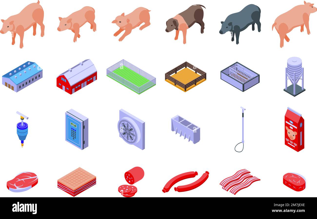 Pig farm icons set isometric vector. Pork animal. Hog swine Stock ...