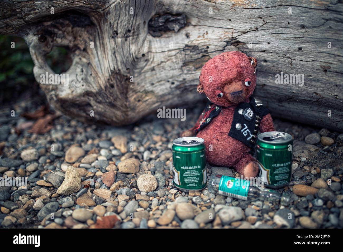 A closeup of a toy punk teddy with beer cans on the ground Stock Photo ...