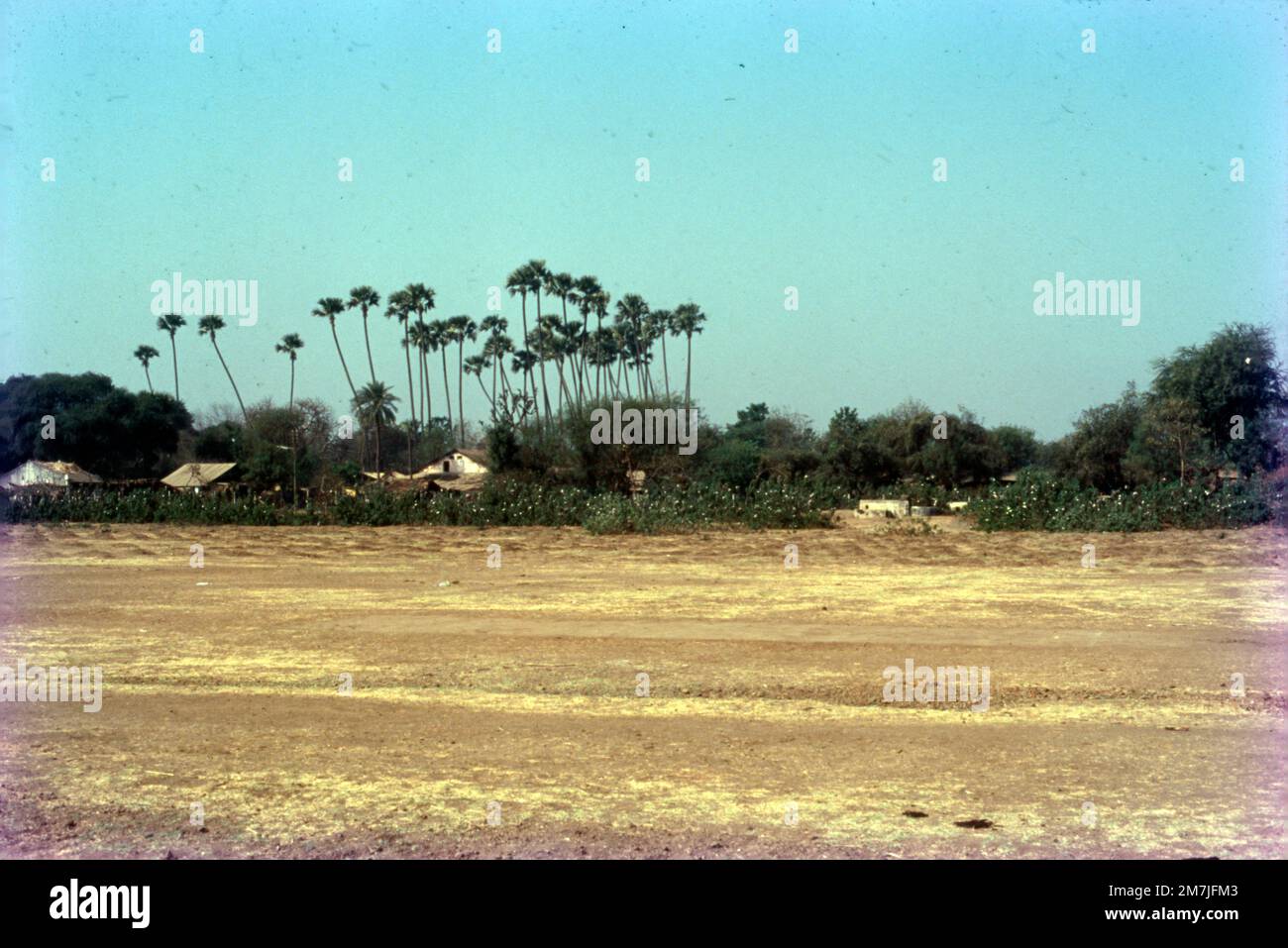 Rural Village Scene, Maharashtra, India Stock Photo - Alamy