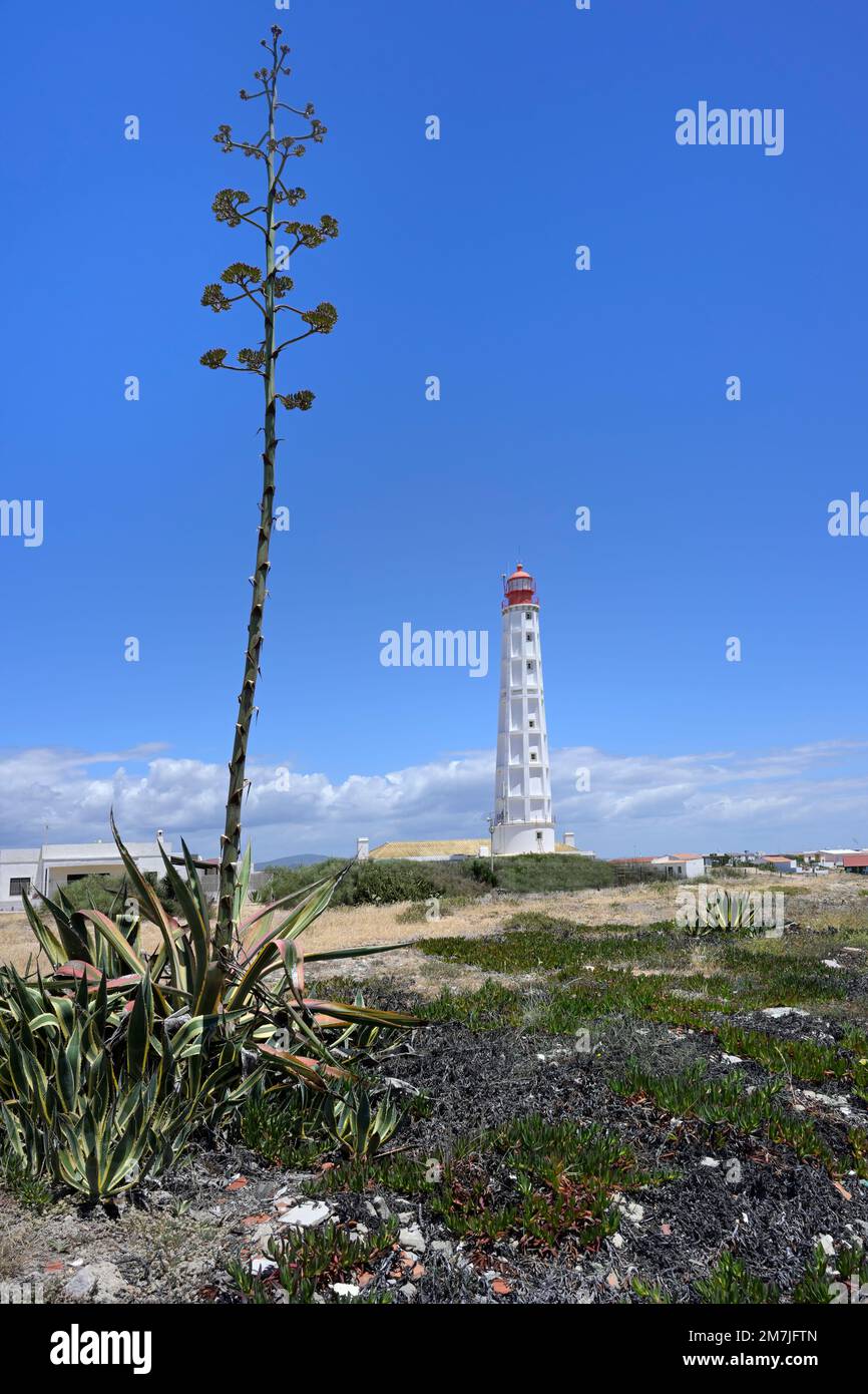 Cabo de Santa Maria Lighthouse, Culatra Island, Farol village, Olhao ...