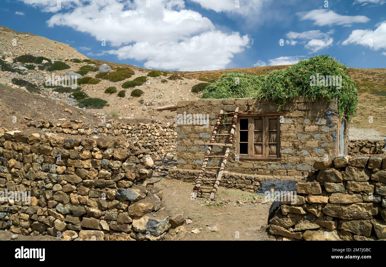 Spiti valley with construction of animal pen, with fodder drying on ...