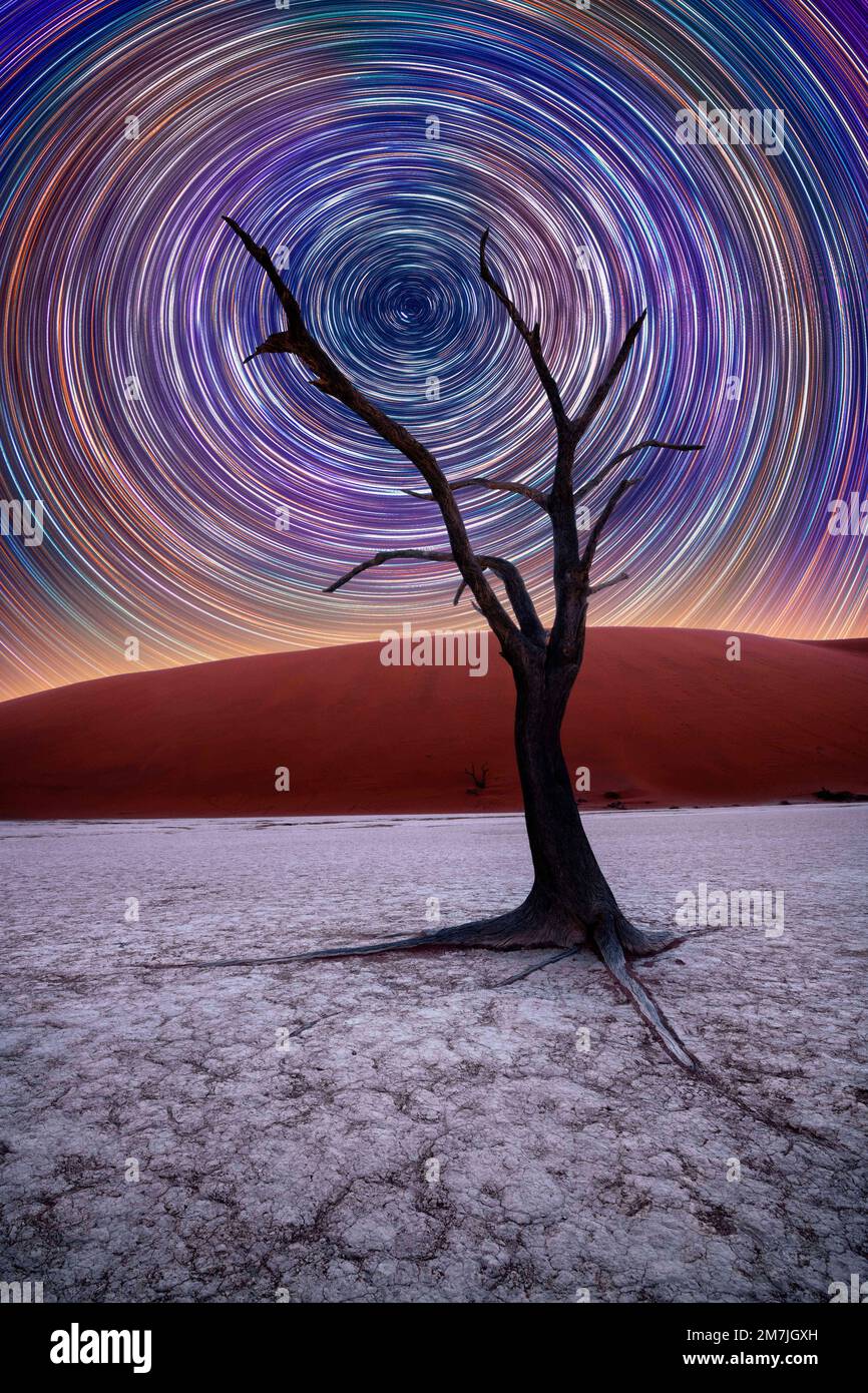A long exposure image of a dead tree. USA: One stunning image shows ...