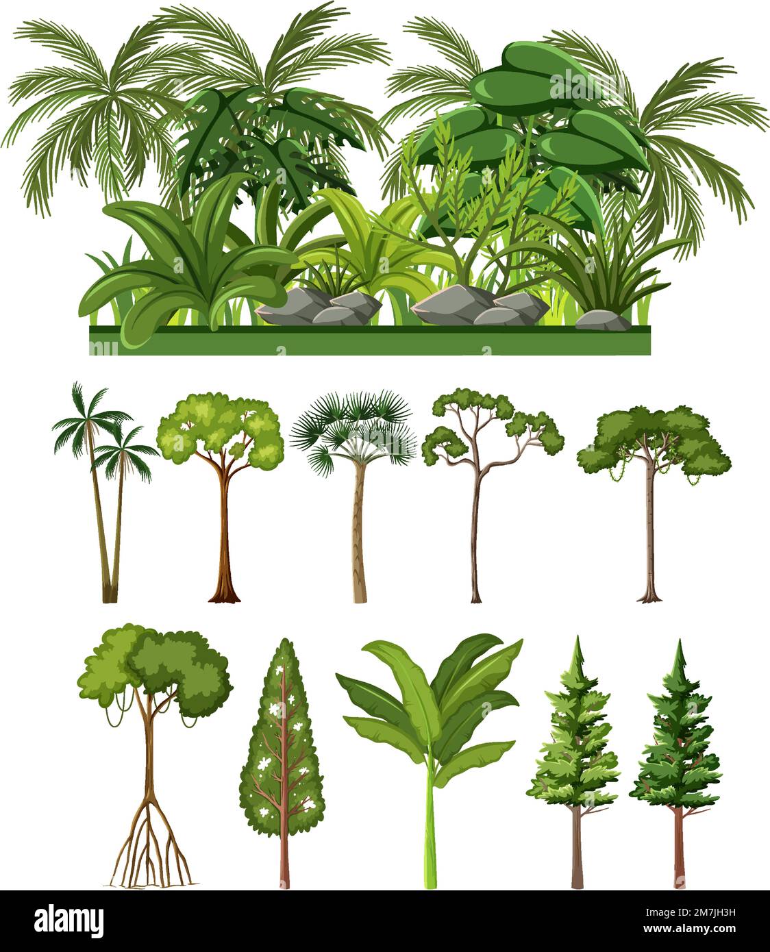 Set of tropical trees isolated illustration Stock Vector Image & Art ...