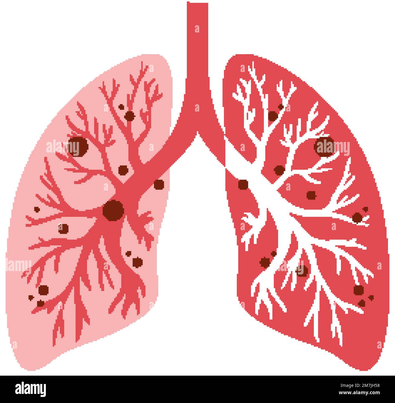 Artistic lungs Stock Vector Images - Alamy