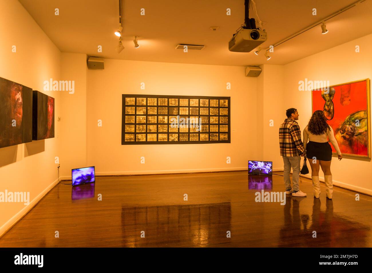 Art Museum of the Americas, the first art museum in the United States ...