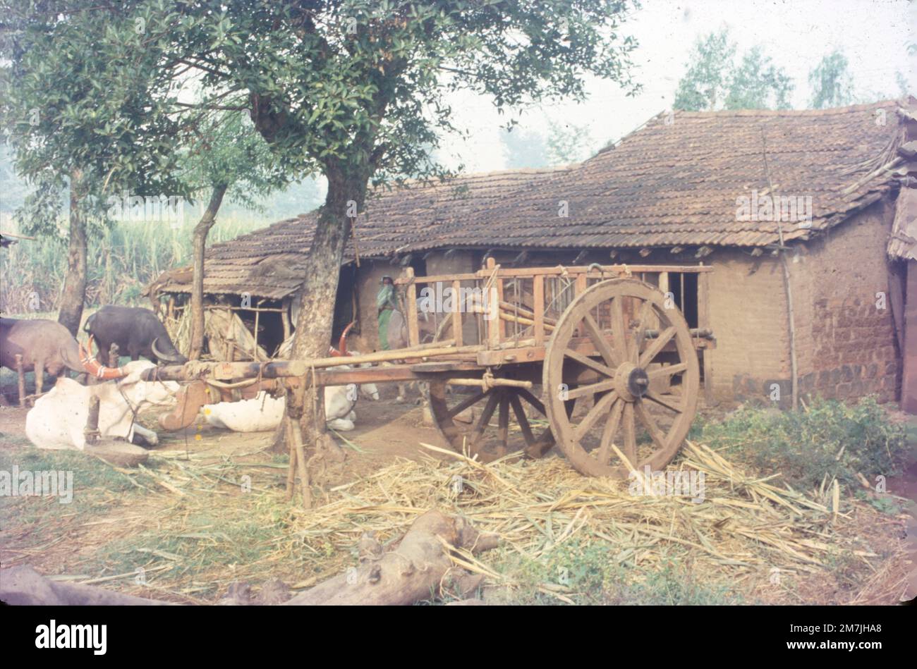 Village Scene in Maharashtra Village Stock Photo - Alamy