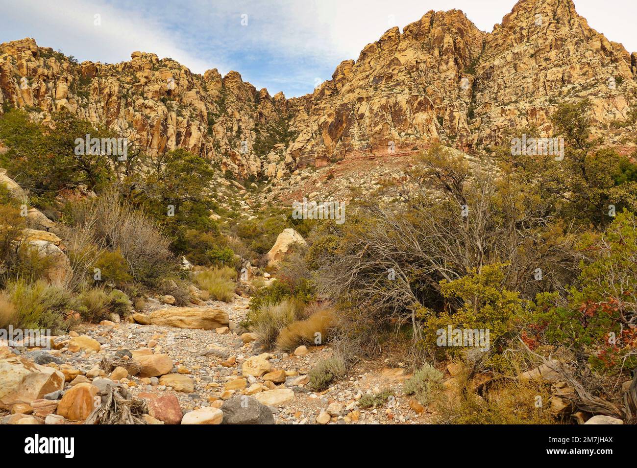 Arroyo (dry river bed) at the foot of towering rocks in the desert of ...