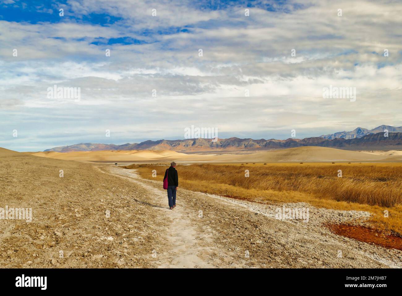 Woman walking in the Mojave Desert, close to the China Ranch Date Farm ...
