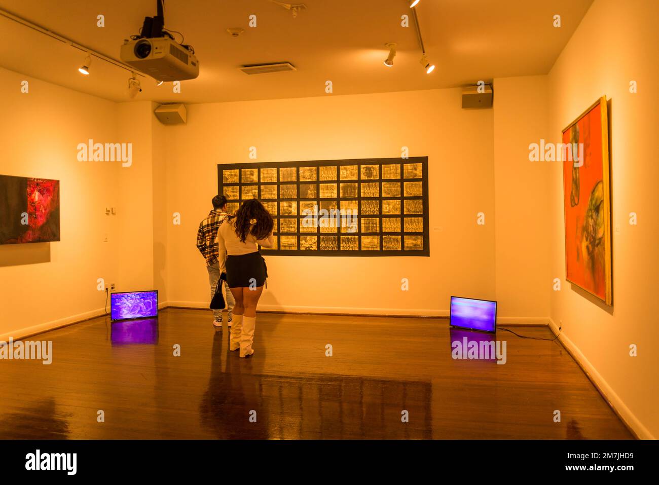 Art Museum of the Americas, the first art museum in the United States ...