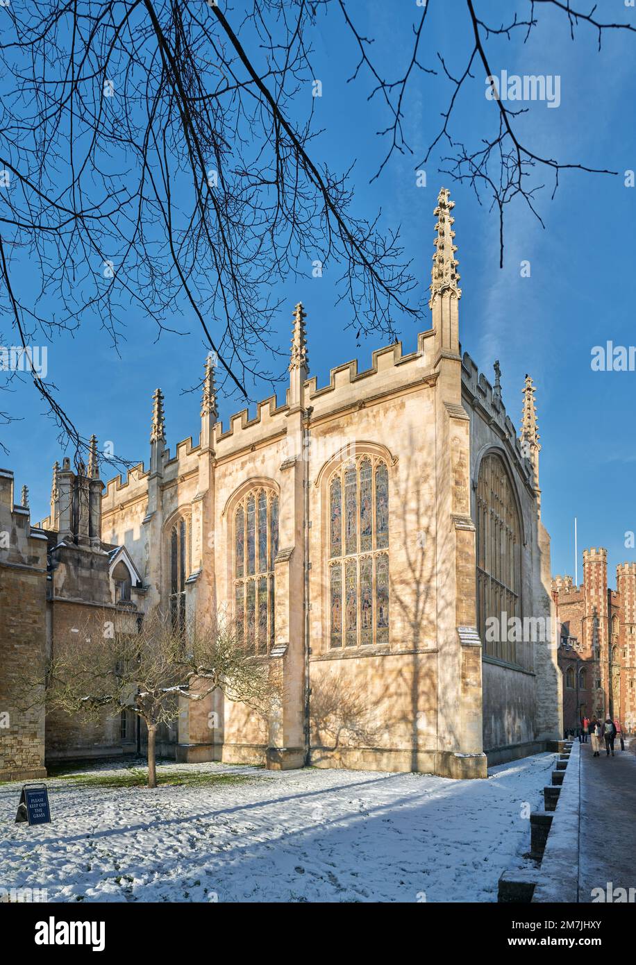 Christian chapel and Isaac Newton apple tree at Trinity college ...