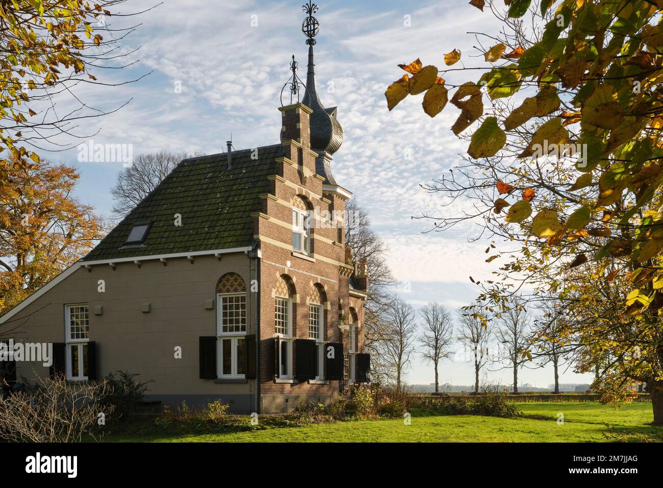 Burmania of vegelin van claerbergen hi-res stock photography and images ...