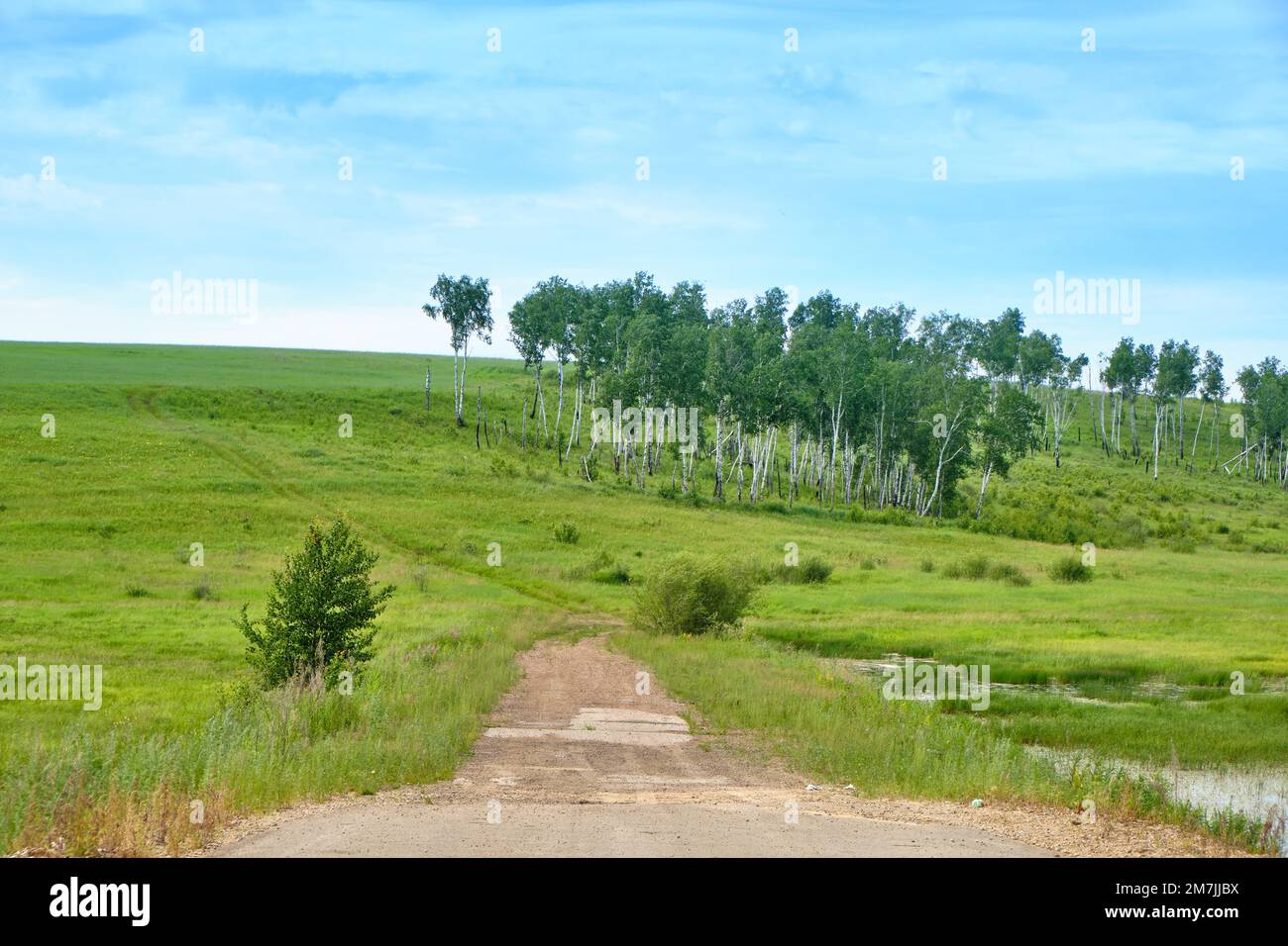 Green meadows of the Trans-Baikal Territory in Russia against a blue ...