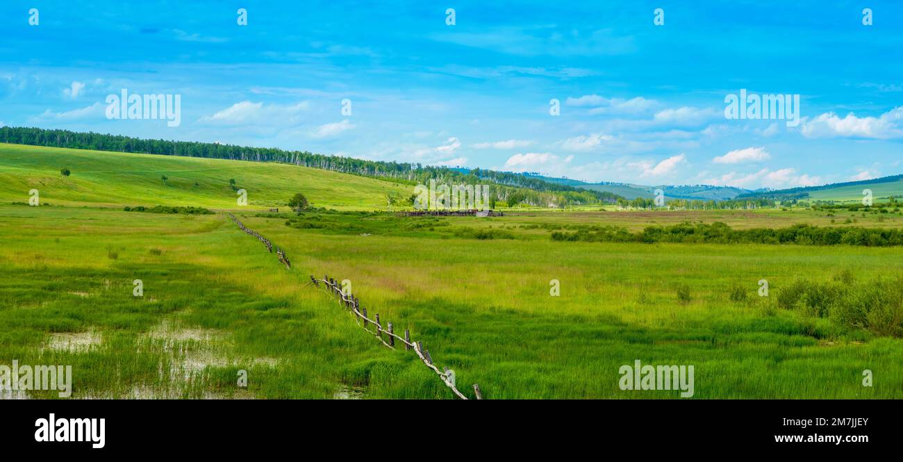 Green meadows of the Trans-Baikal Territory in Russia against a blue ...