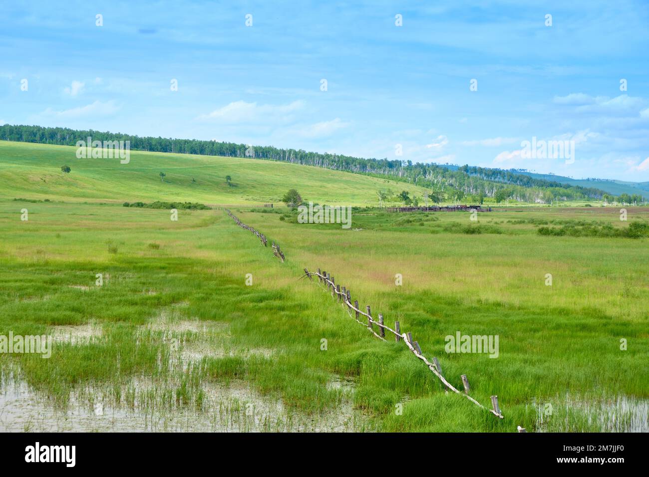 Green meadows of the Trans-Baikal Territory in Russia against a blue ...