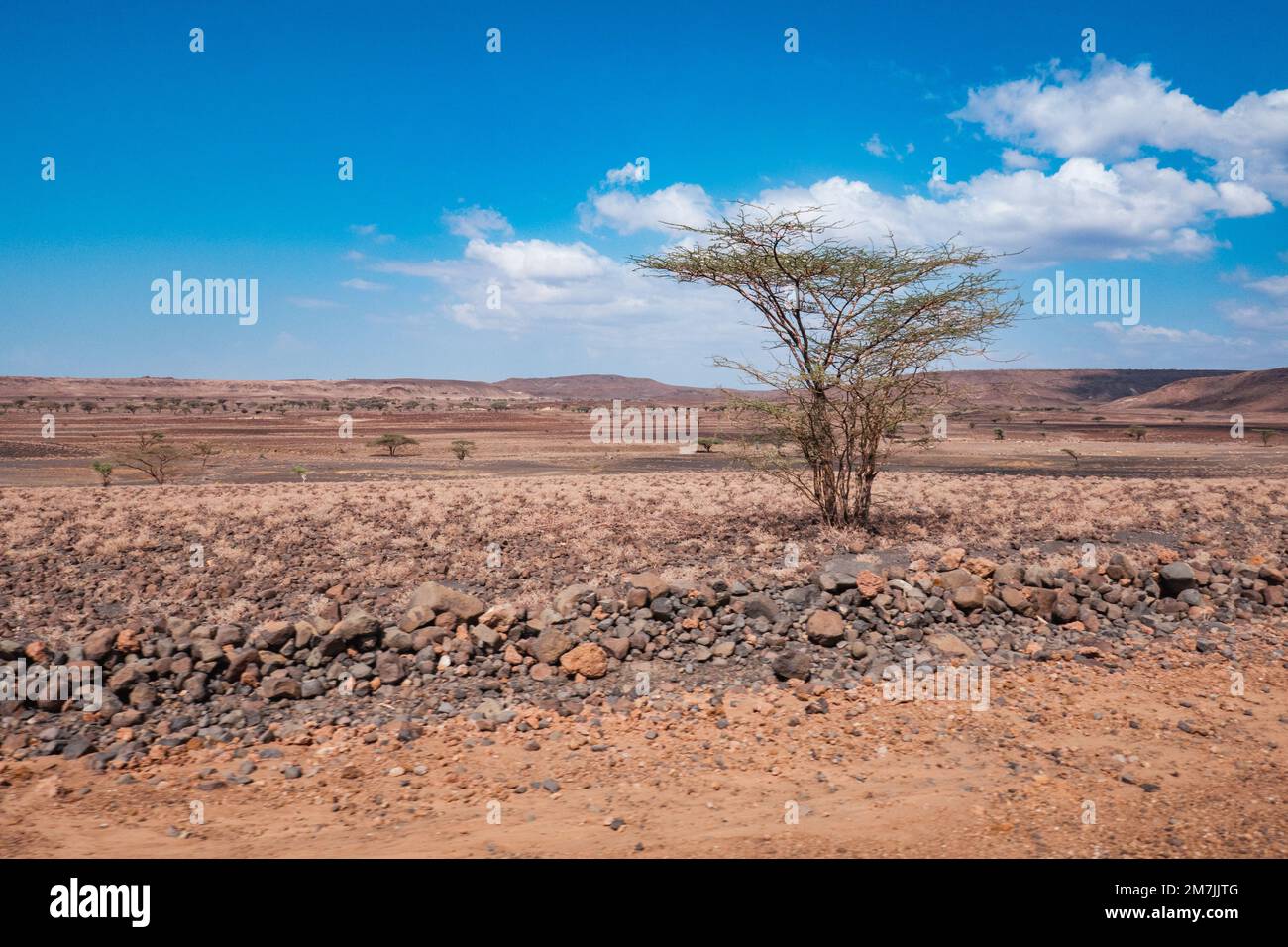 Scenic view of the panaramic desert landscapes in Loiyangalani in ...