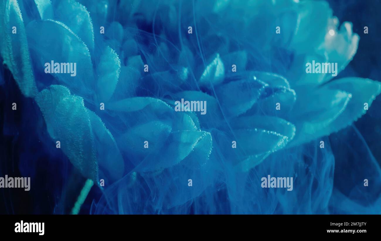 flower mist paint water blue color vapor petals Stock Photo - Alamy