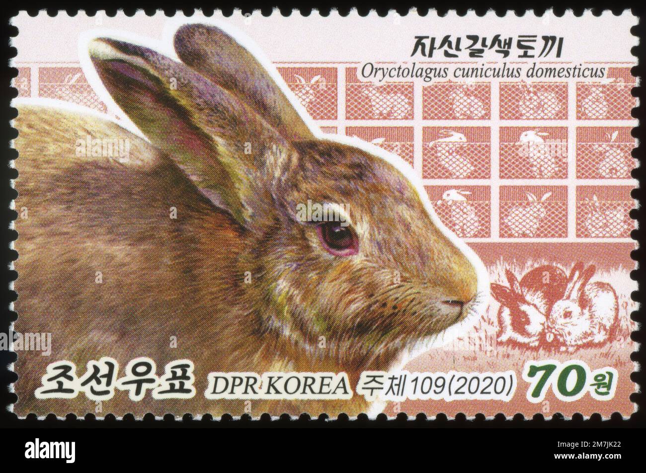 2020 North Korea stamp. Farm animals. Rabbit, Oryctolagus cuniculus ...