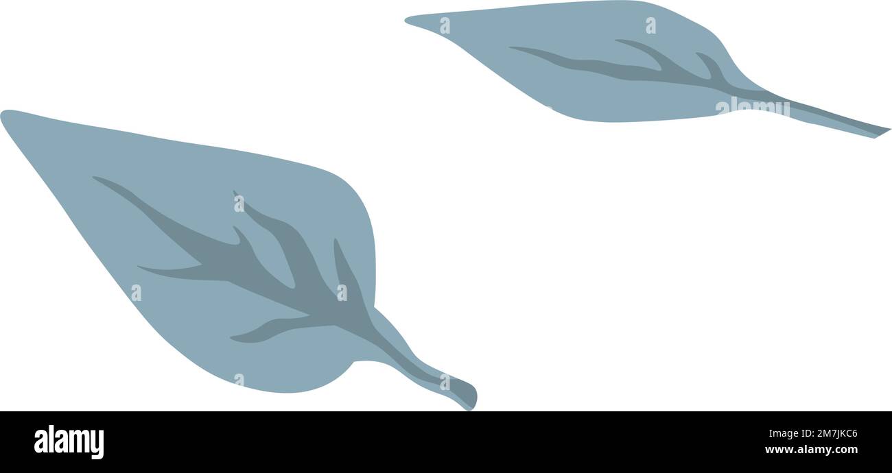 Basil leaves, foliage of tree or bushes plants Stock Vector Image & Art ...