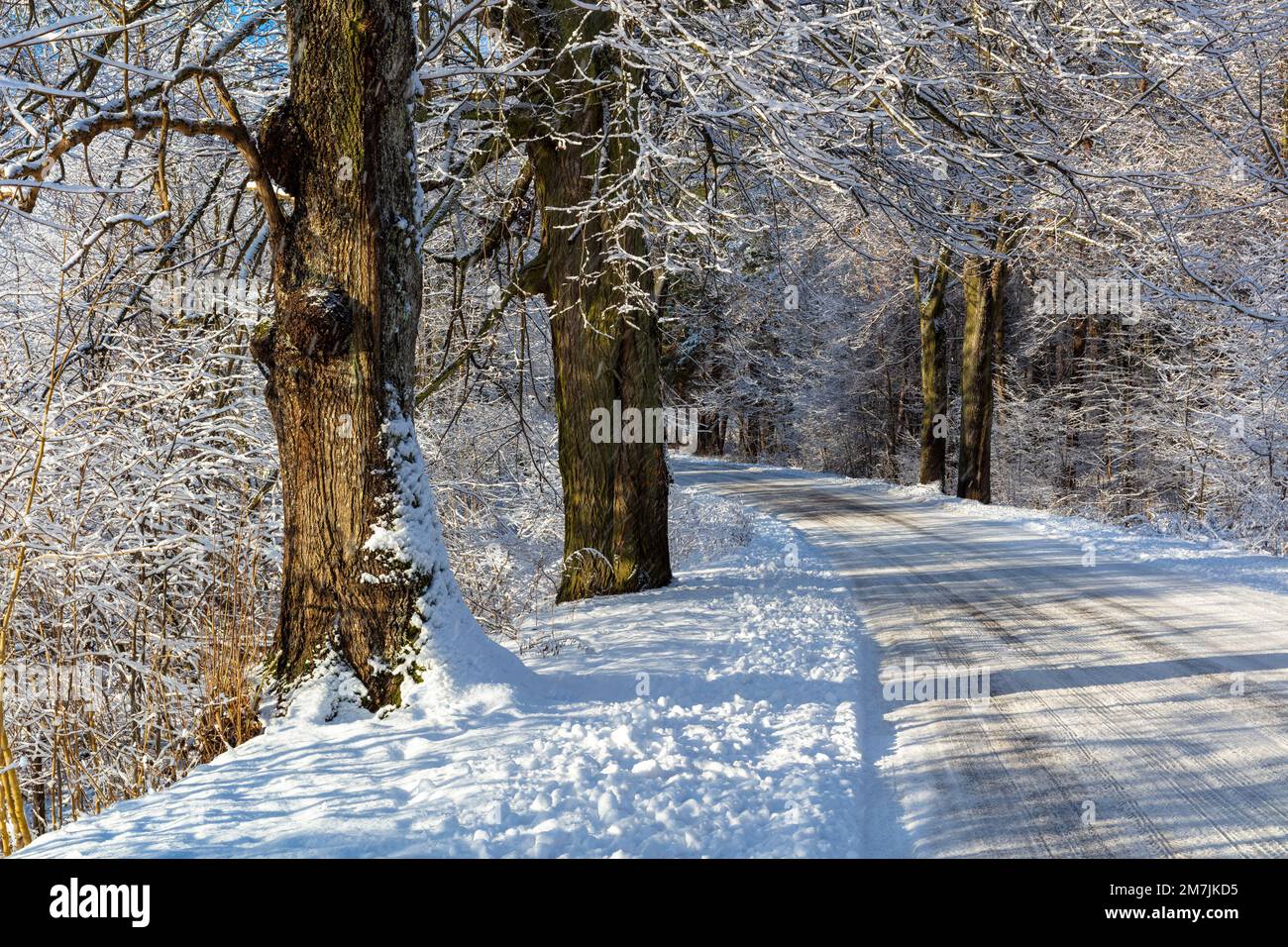 Masurian climate hi-res stock photography and images - Alamy