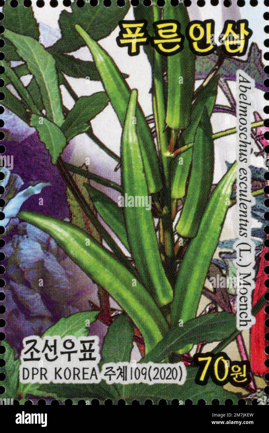 2020 North Korea stamp. Greenhouse vegetables. Okra plant Stock Photo ...