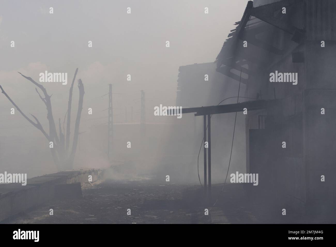 A huge area devastated by a major fire Stock Photo - Alamy