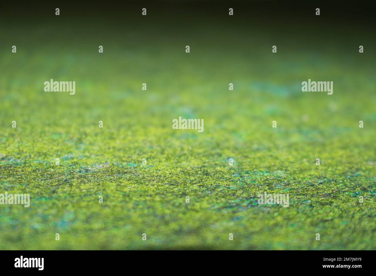 Fresh green meadow background blur3. football field grass, golf course ...