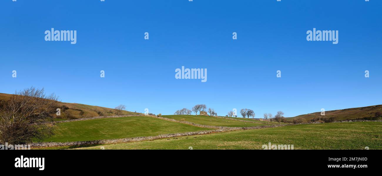 With sheep and drystone walls, an agricultural farming view looking ...